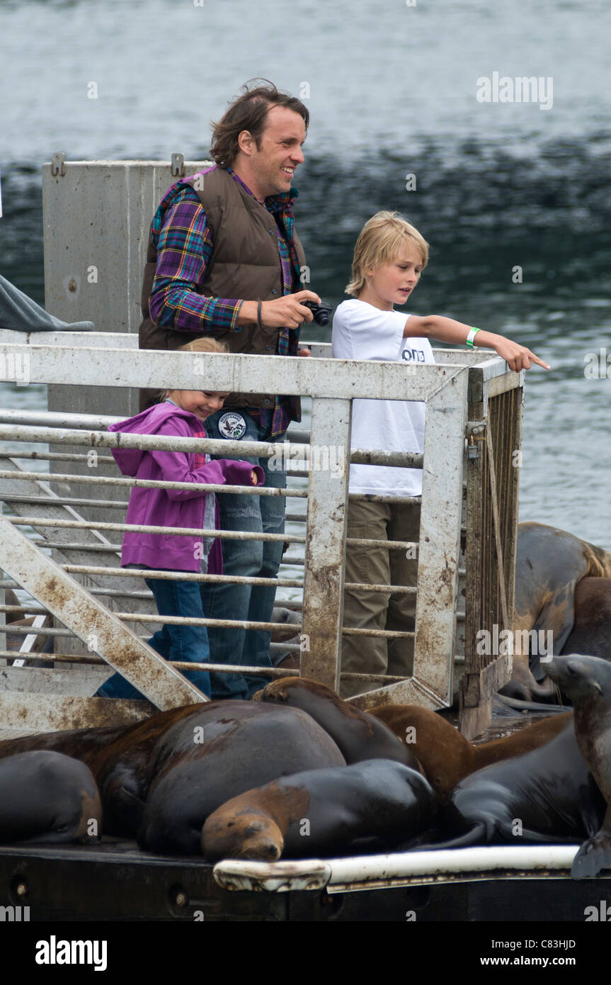 Seals on Pier, Moss Landing, Monterey Bay, California Stock Photo - Alamy