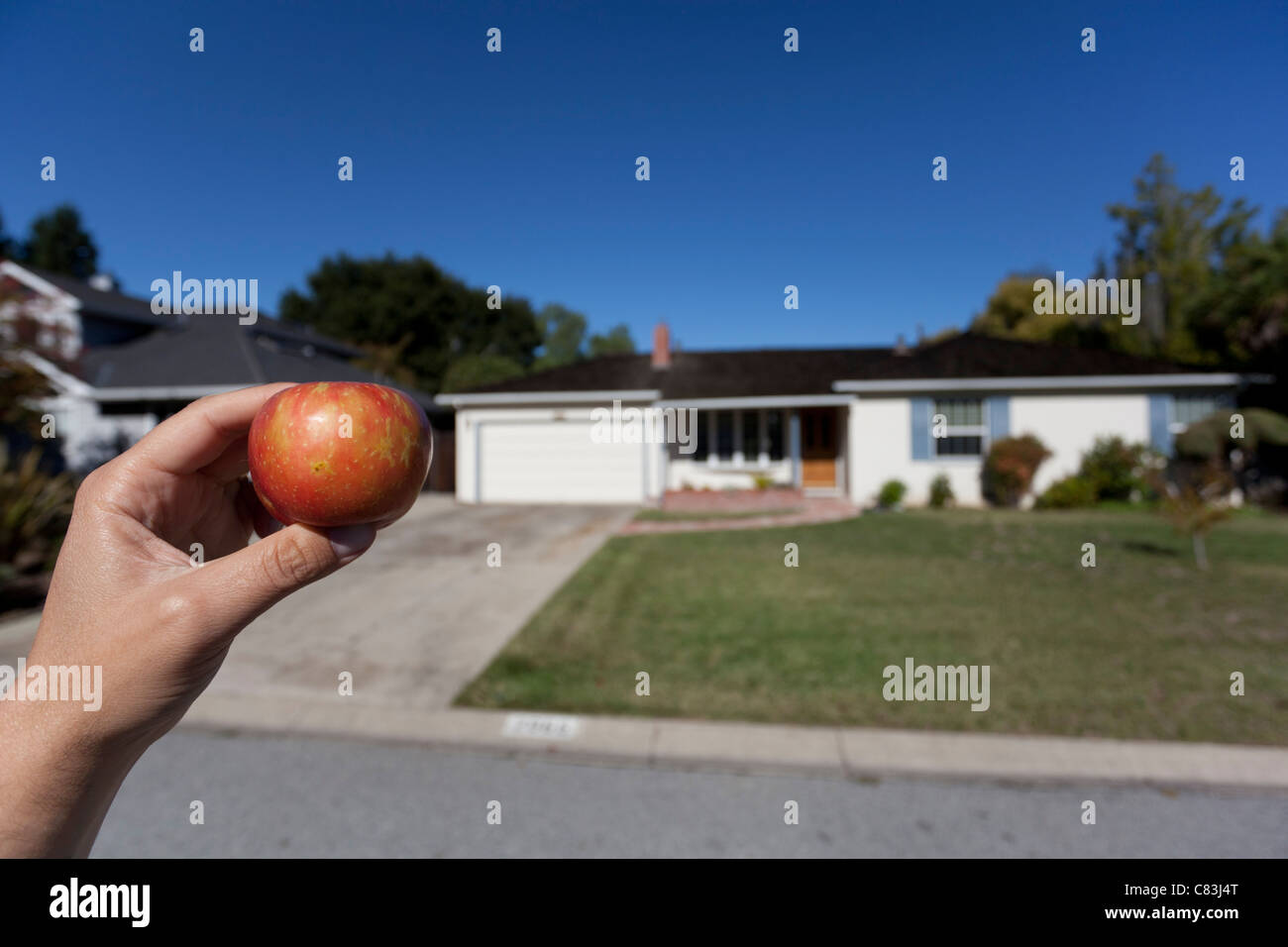 The House Where Steve Jobs and Steve Wozniak Started Apple Computer ...