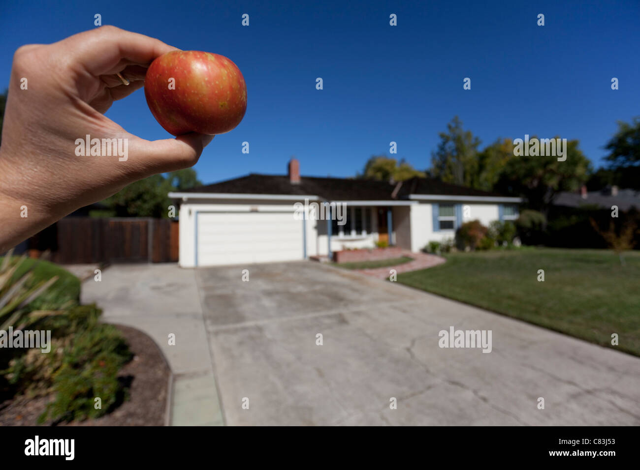 The House Where Steve Jobs and Steve Wozniak Started Apple Computer ...