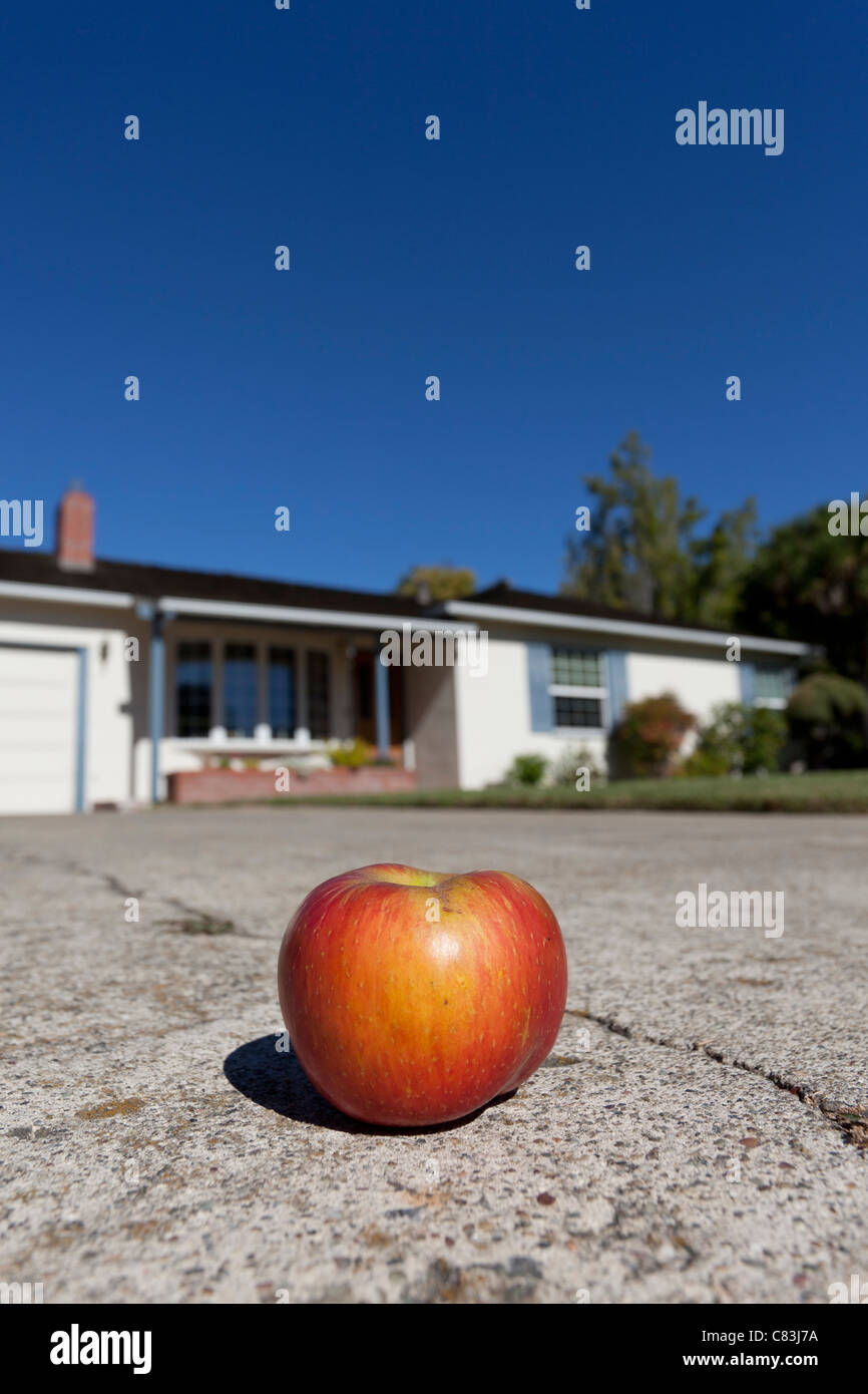 The House Where Steve Jobs and Steve Wozniak Started Apple Computer ...