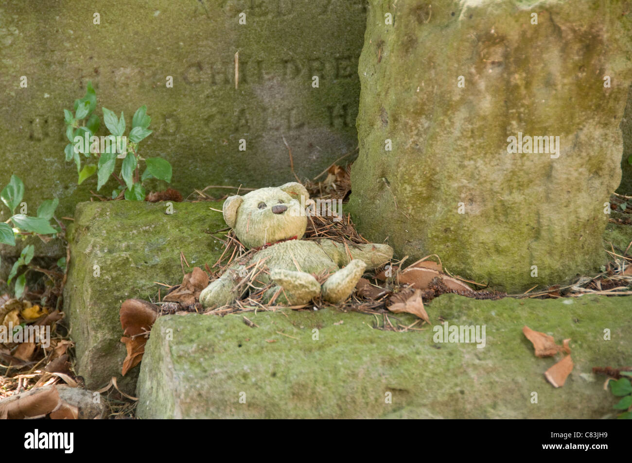 Teddy bear on a grave Stock Photo - Alamy