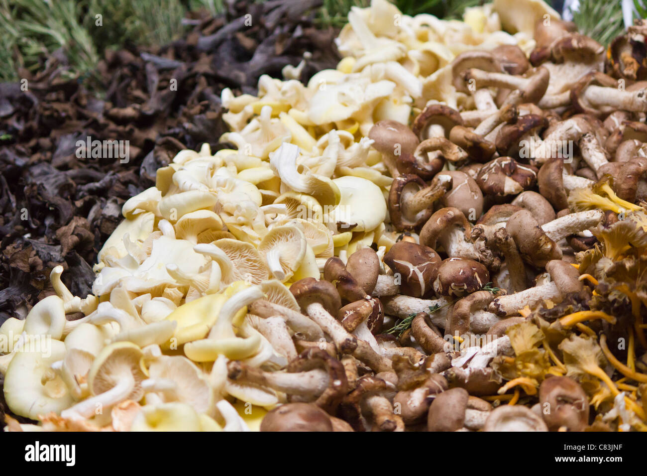 Mushroom stall in borough market hi-res stock photography and images ...