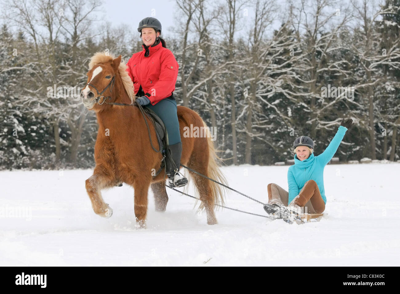 Horses pulling sleigh hi-res stock photography and images - Alamy