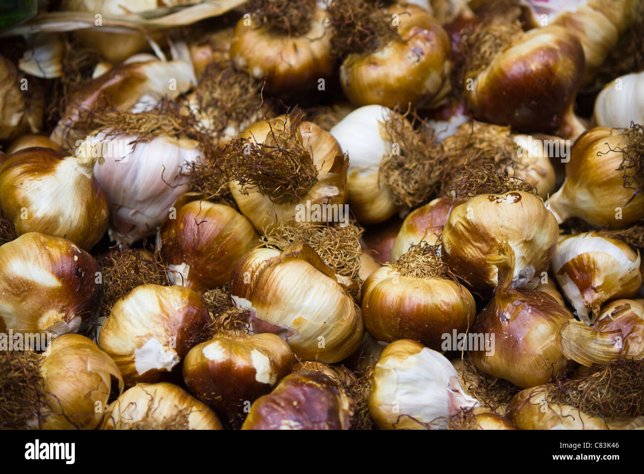 Garlic at a at a market stall in Borough Market Stock Photo - Alamy