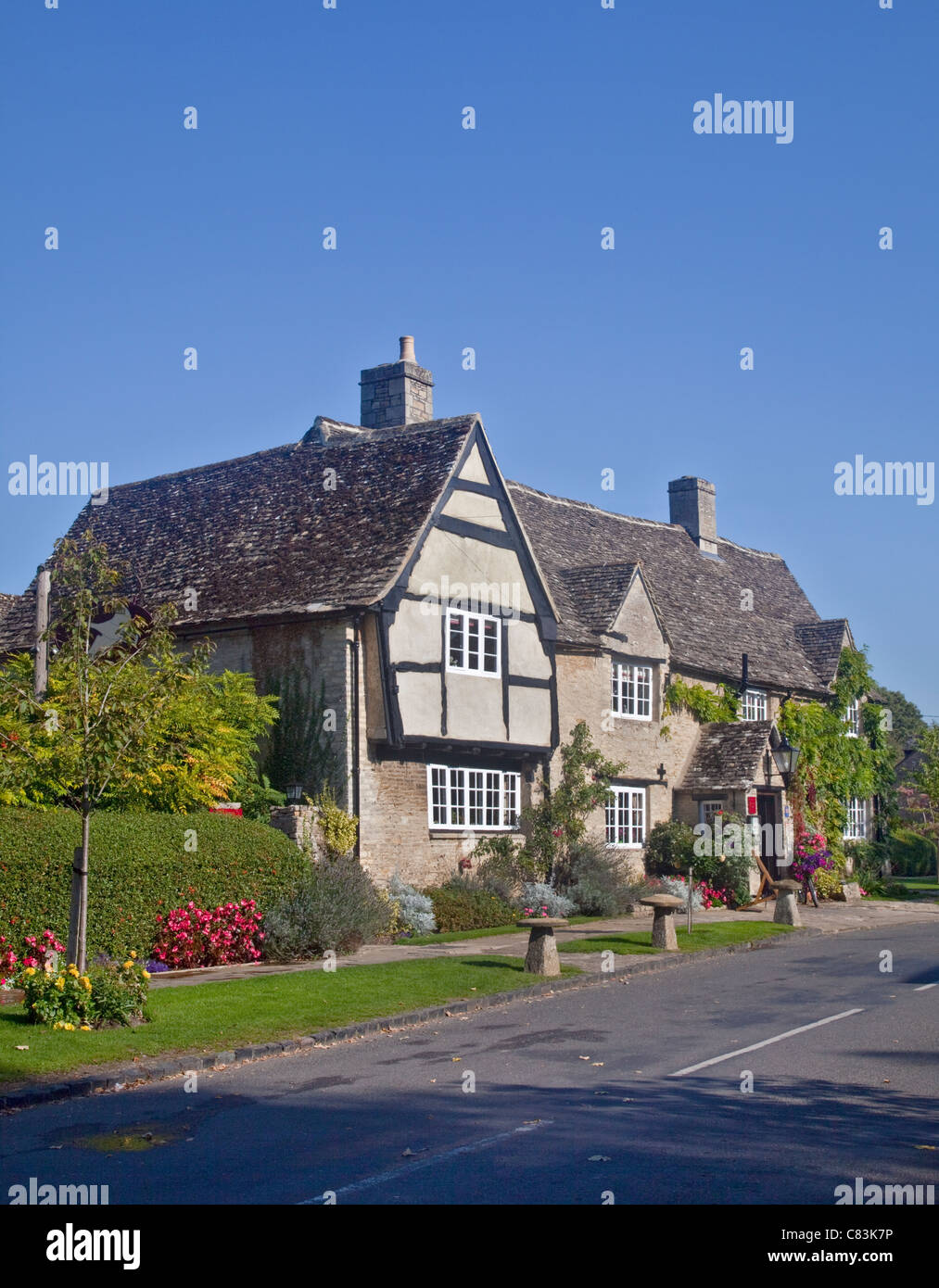 Old swan hi-res stock photography and images - Alamy