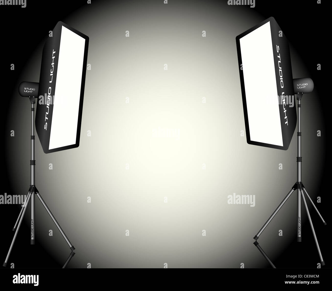 Photographic LIghting - Two Professional Studio Lights with Soft Boxes ...