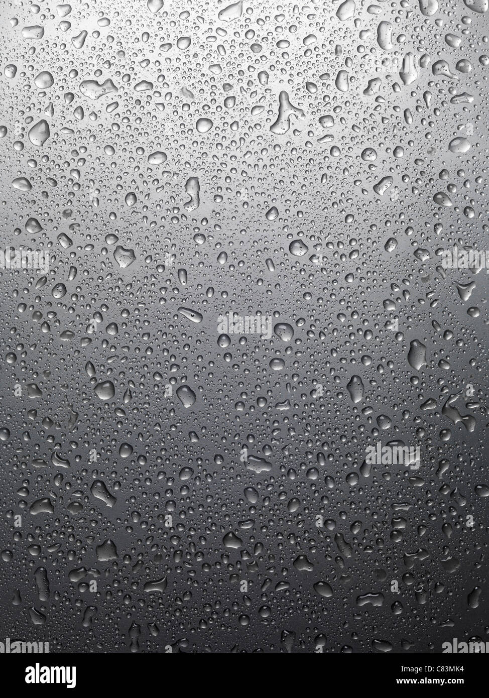 Black Shiny Glass Texture