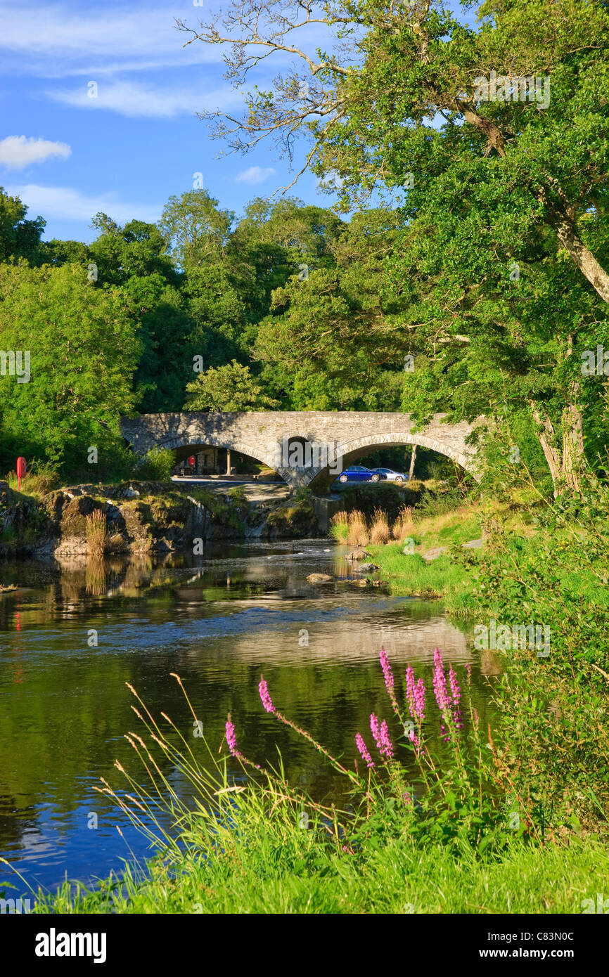Cenarth hi-res stock photography and images - Alamy
