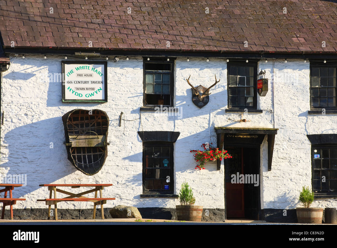White Hart High Resolution Stock Photography and Images - Alamy