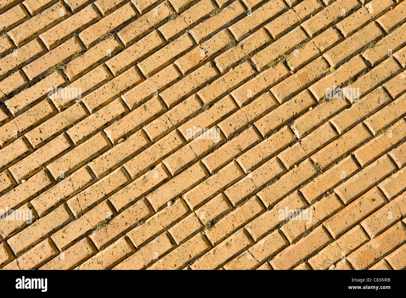 Follow the yellow brick road hi-res stock photography and images - Alamy