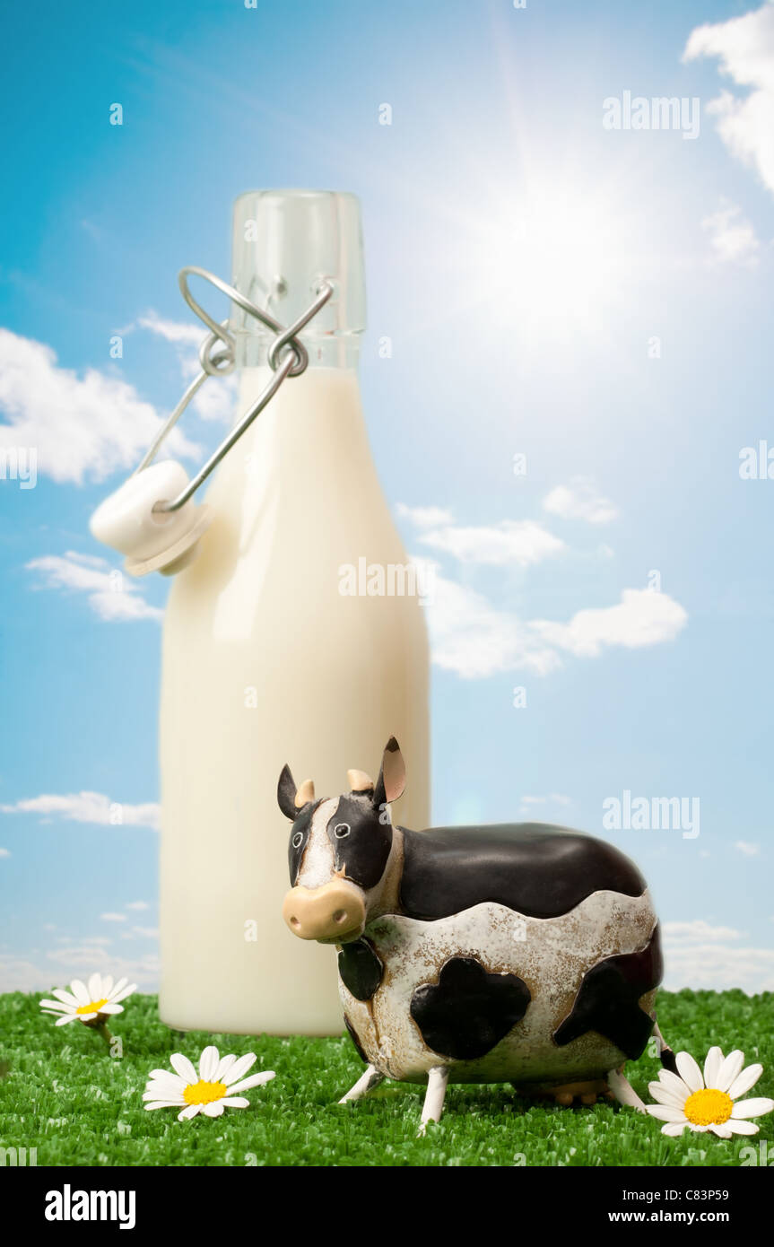Daisy cow hi-res stock photography and images - Alamy