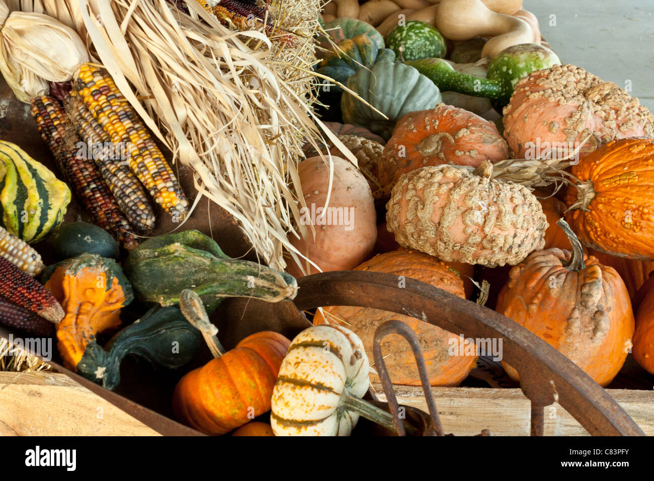 Fall vegetables at a farm market produce stand Stock Photo - Alamy