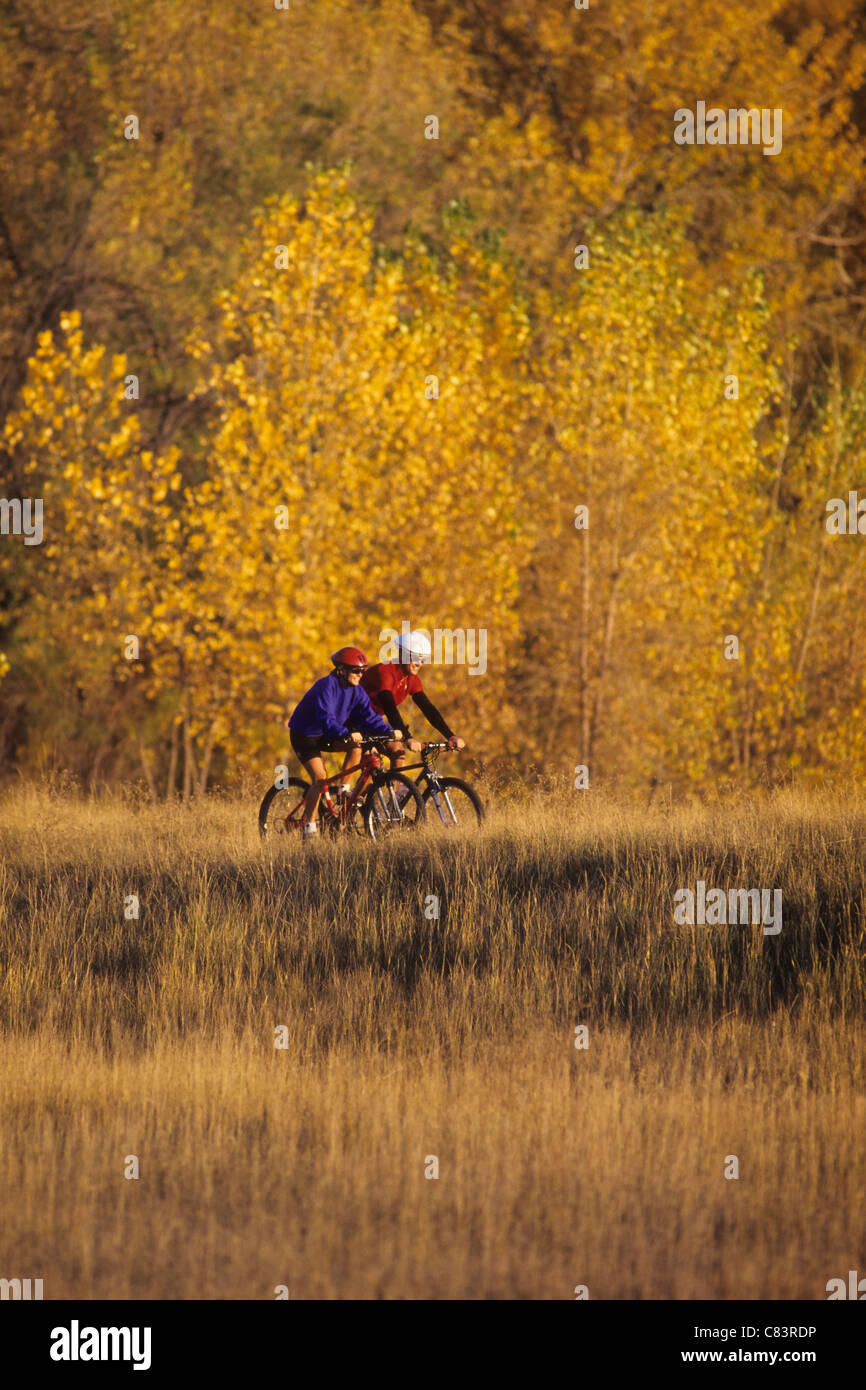 Mountain biker in fall colors hi-res stock photography and images - Alamy