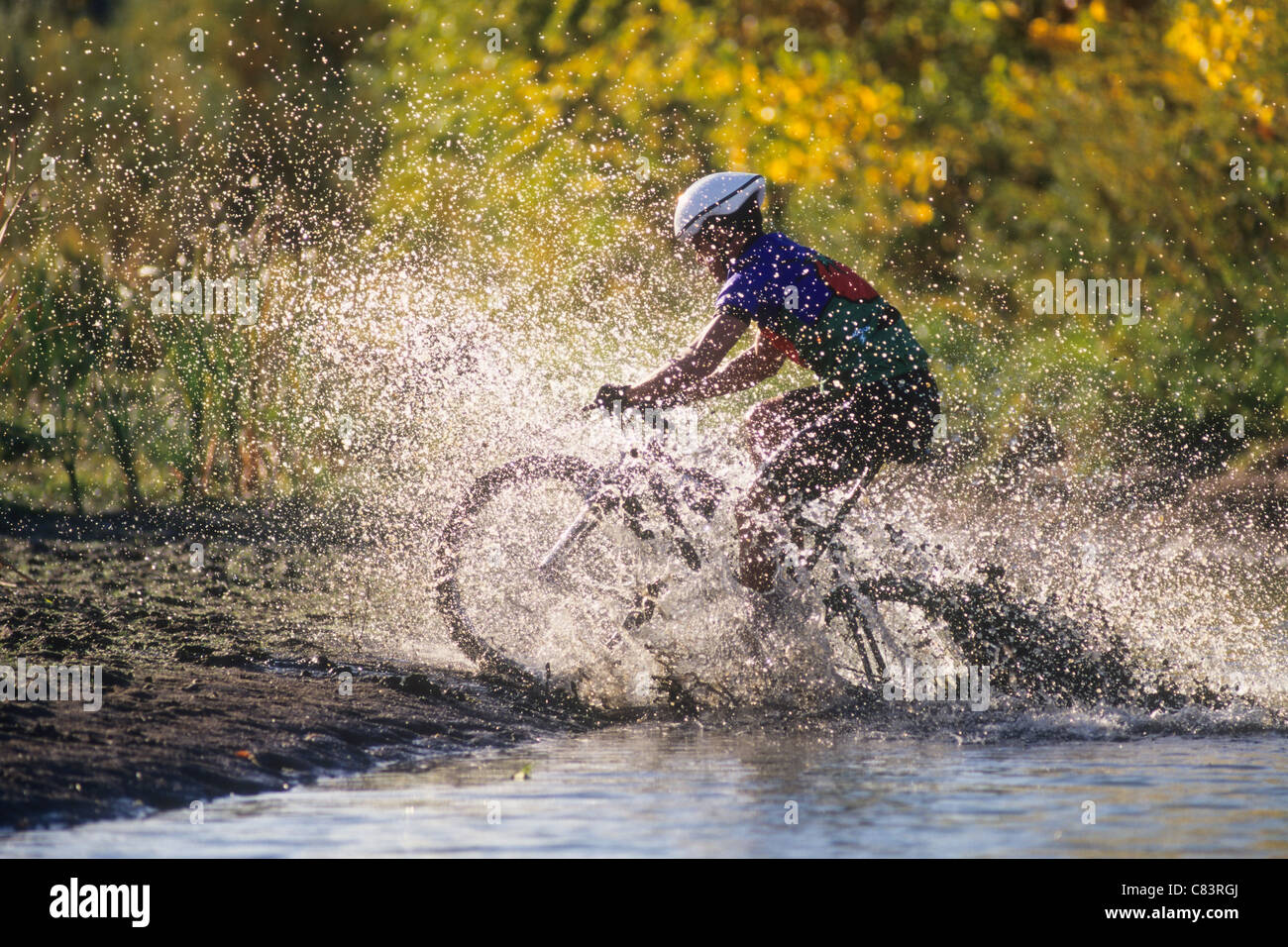 Mountain biker riding through a stream Stock Photo - Alamy