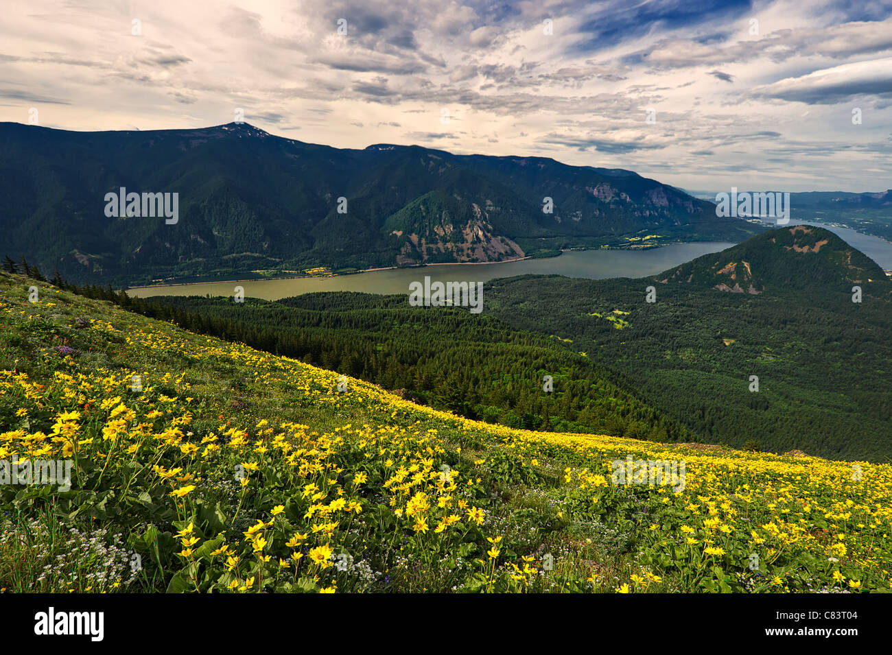 Columbia river gorge and cascade mountain range hi-res stock ...