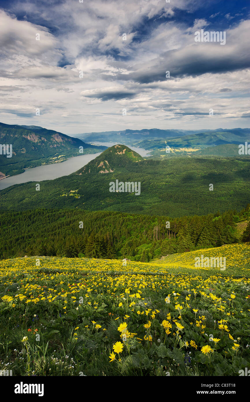 Gorge washington hi-res stock photography and images - Alamy