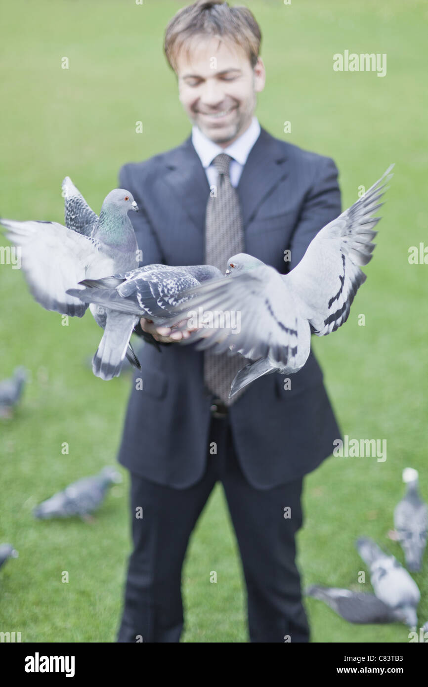 Businessman feeding pigeons in park Stock Photo - Alamy