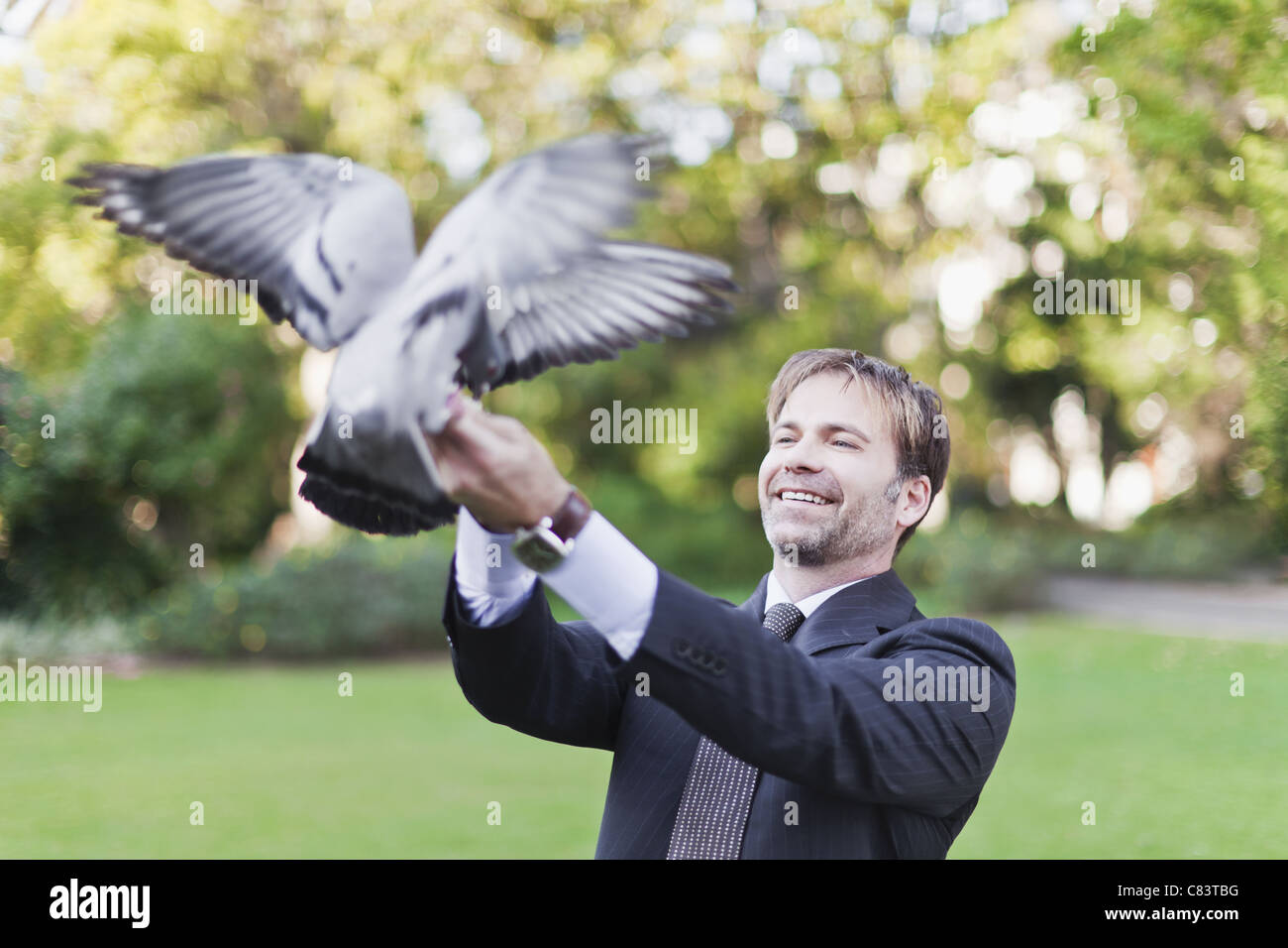 Man with pigeon on head hi-res stock photography and images - Alamy