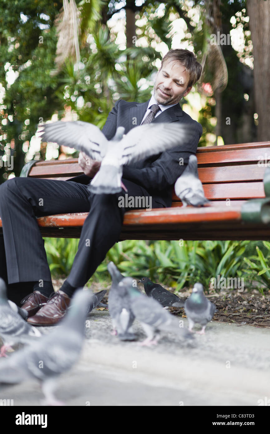 Businessman feeding pigeons in park Stock Photo - Alamy