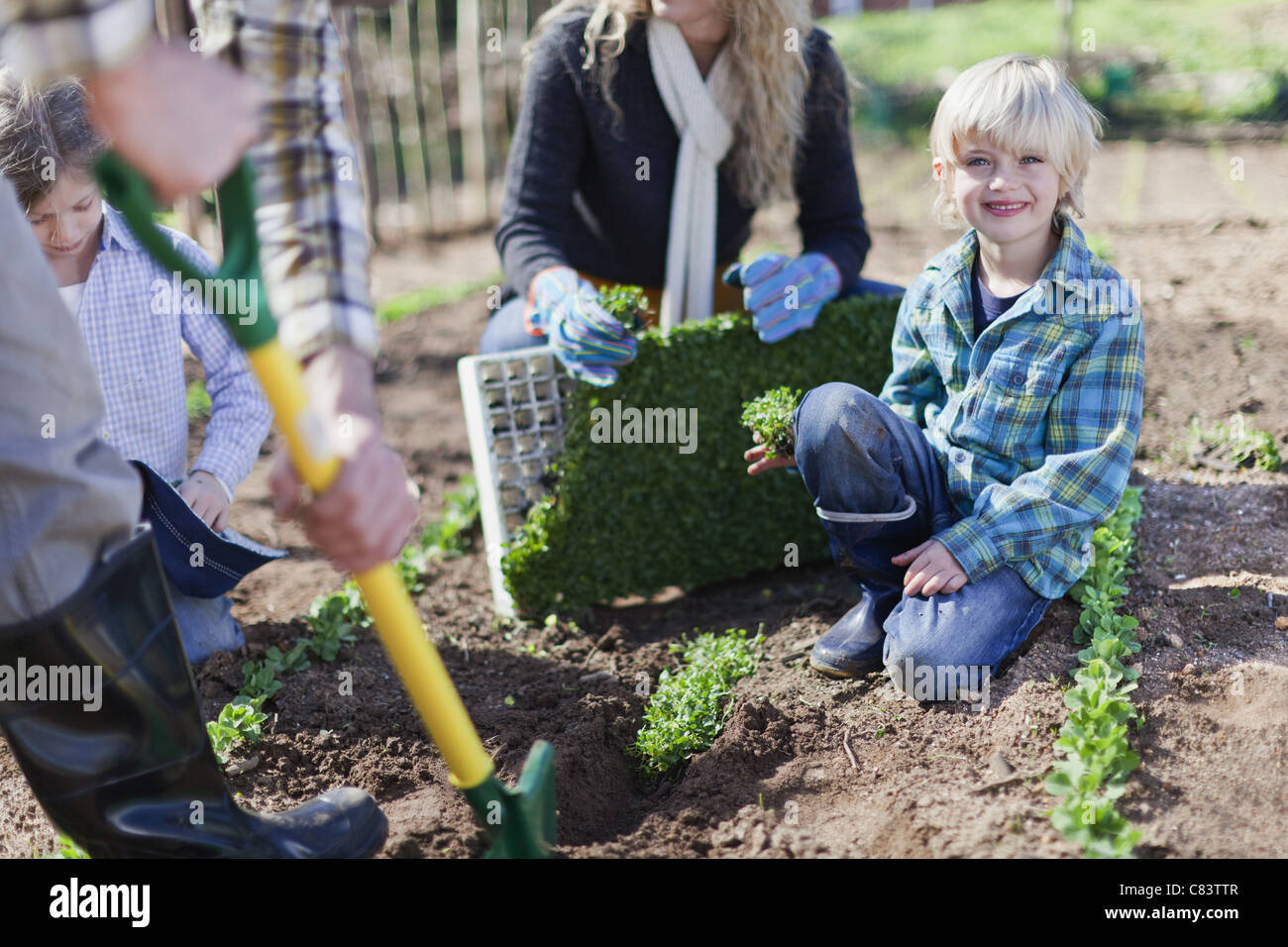 Family planting in garden together Stock Photo - Alamy