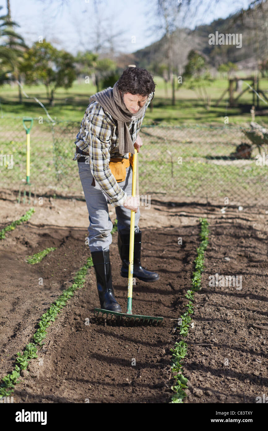 Man turning over soil in garden Stock Photo - Alamy
