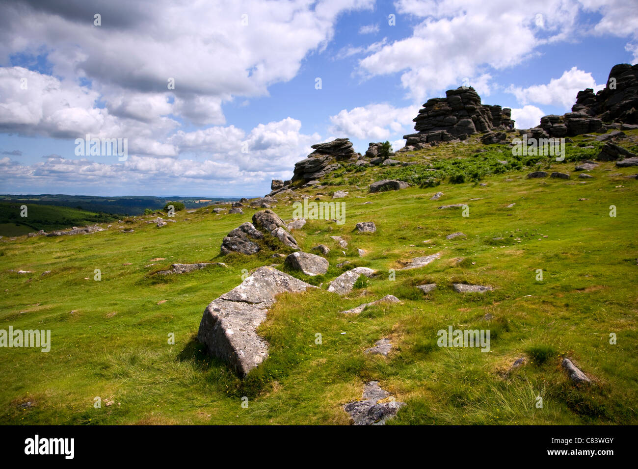 Hound Tor, a heavily weathered granite outcrop on Dartmoor National ...