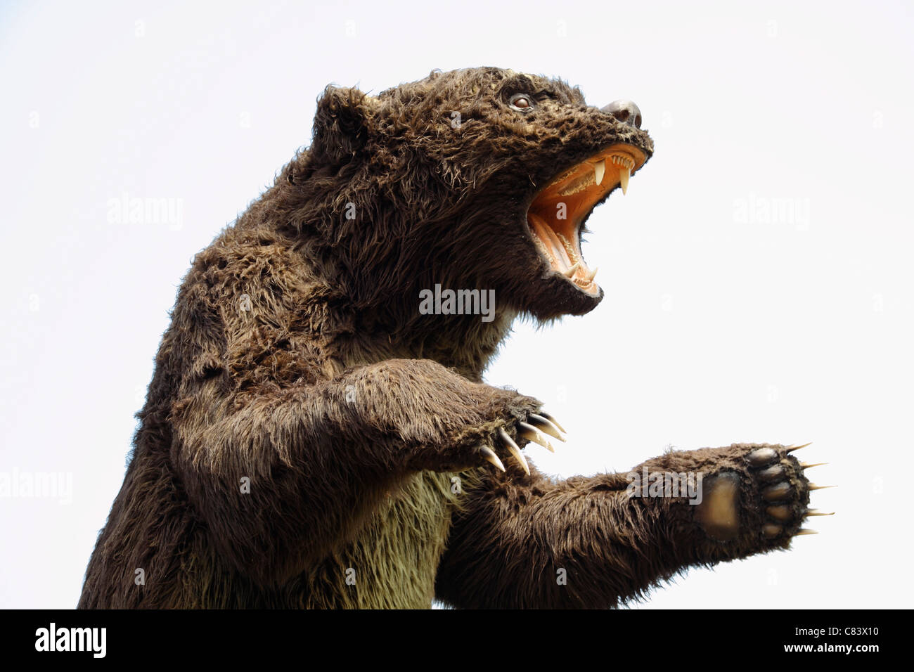 Cave Bear (Ursus spelaeus) in Leba Park (dinosaur theme park), Poland ...