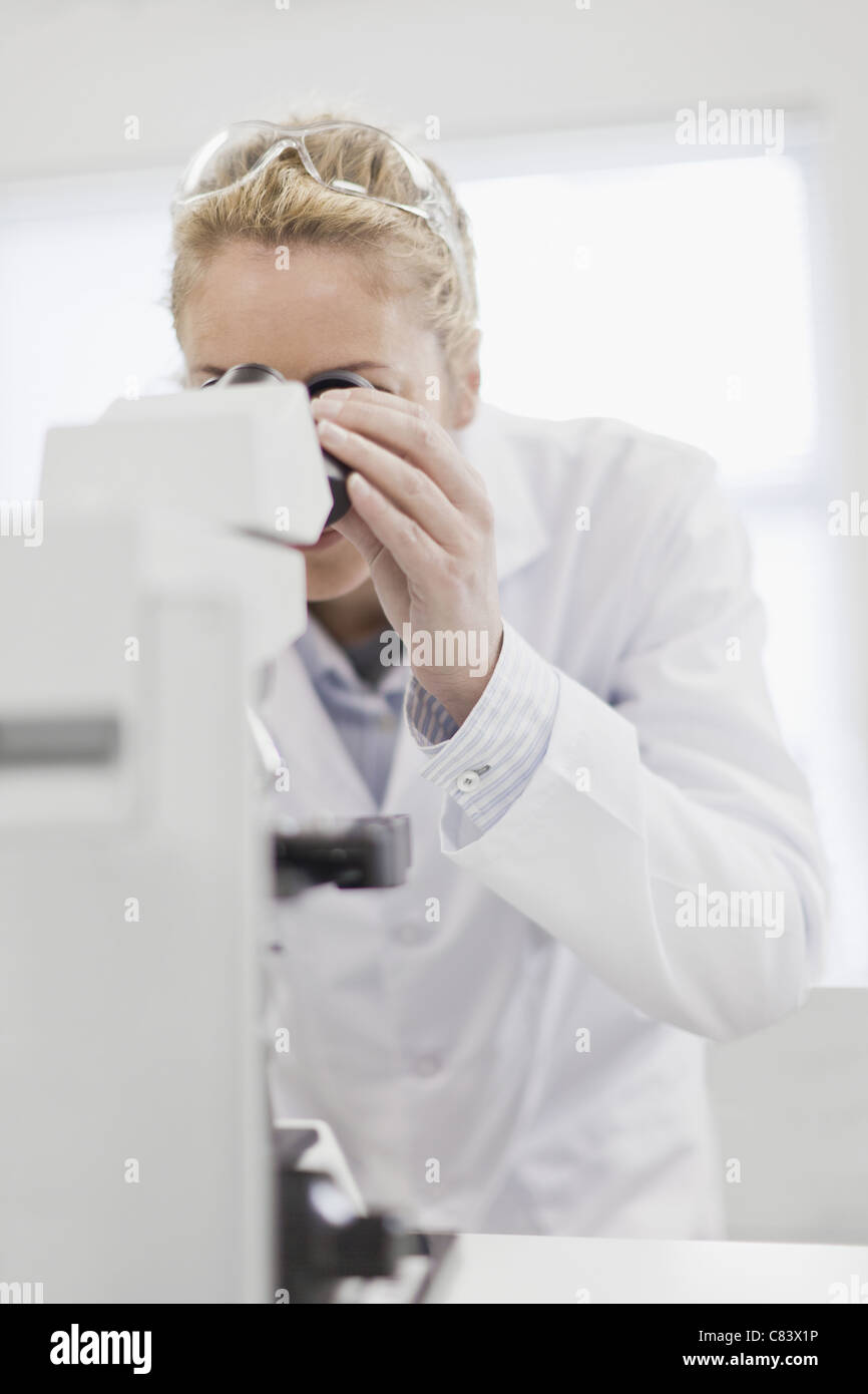 Scientist working in pathology lab Stock Photo - Alamy