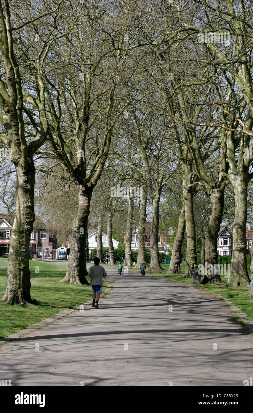 Roundwood Park in North West London Stock Photo - Alamy