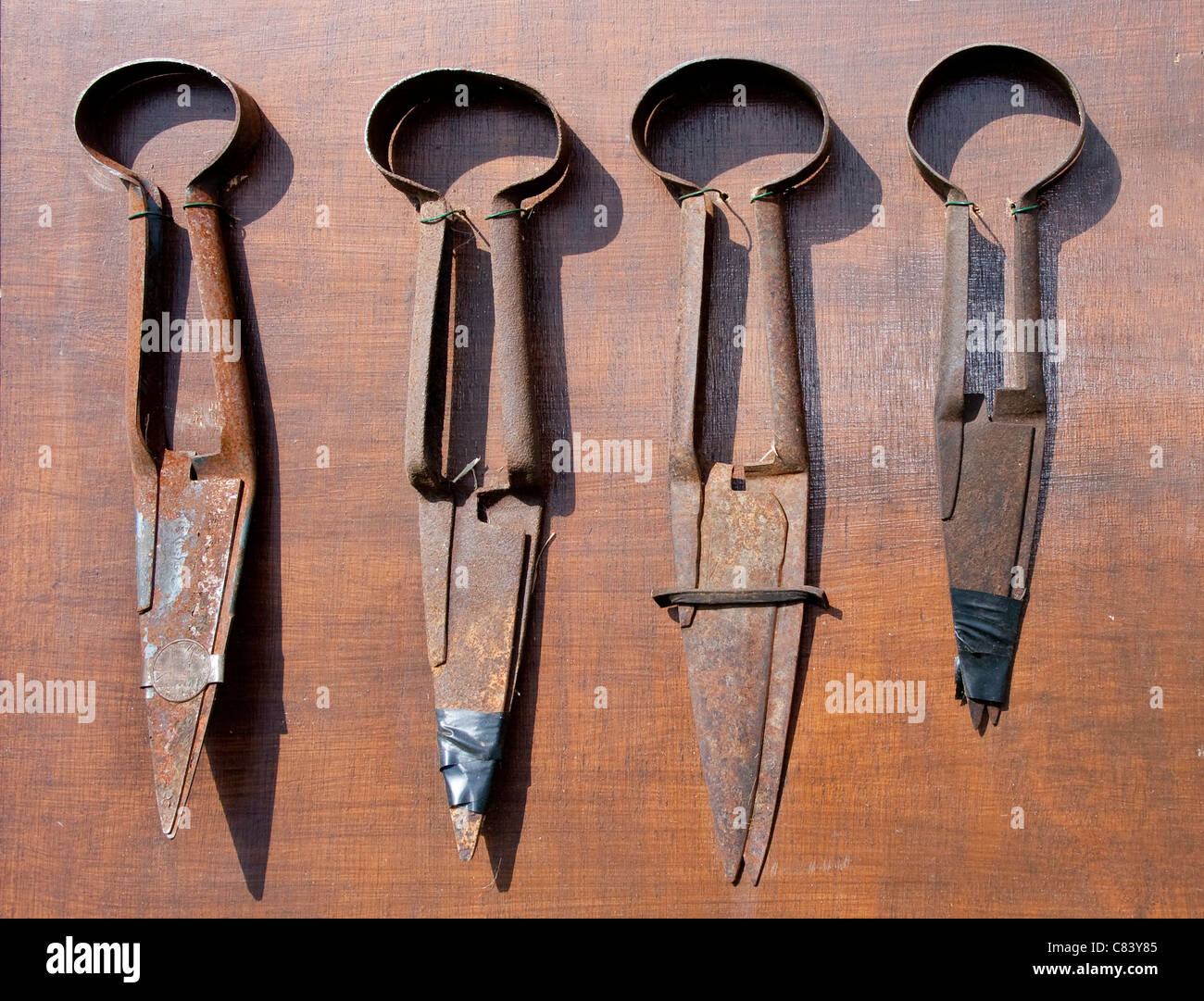 Antique Sheep Wool Shears on Wooden Background Stock Photo - Alamy