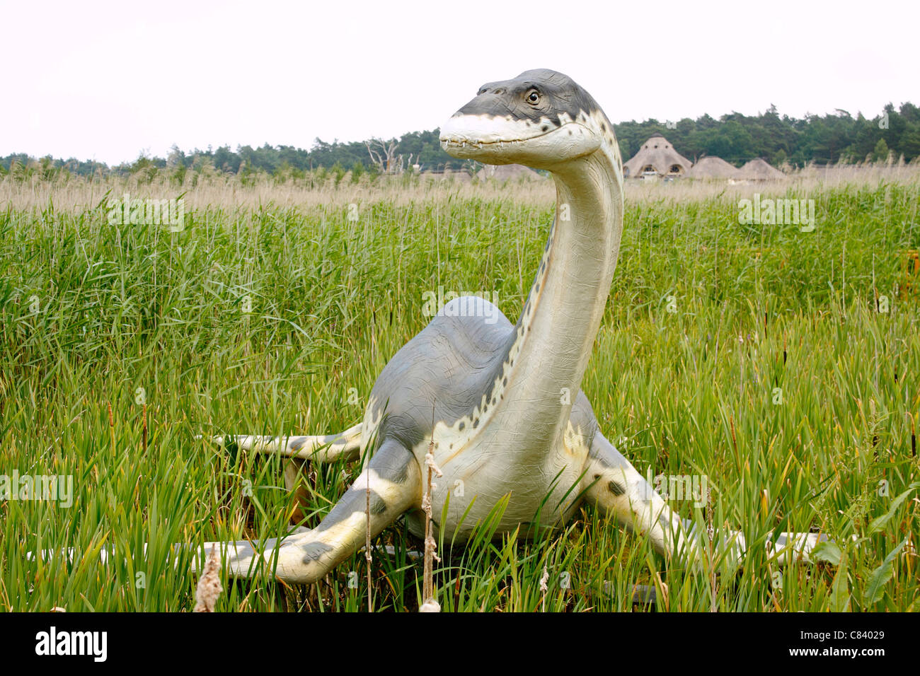 Cryptoclidus eurymerus in Leba Park (dinosaur theme park), Poland Stock ...