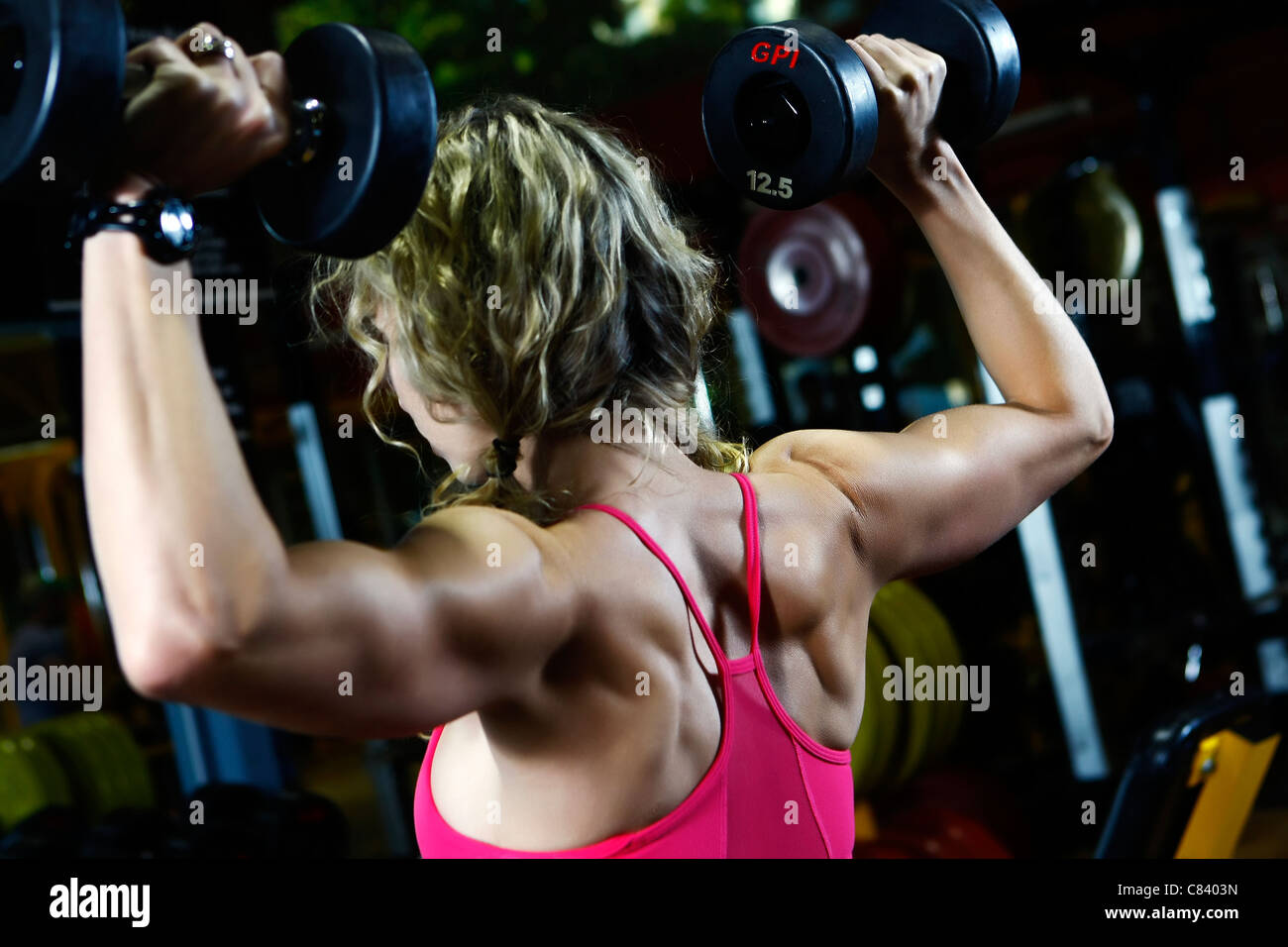 Fit female exercising in a gym Stock Photo - Alamy