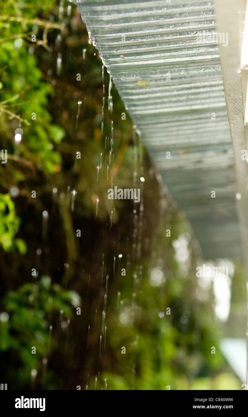Rain dripping from patio roof edge. Shallow DOF Stock Photo - Alamy