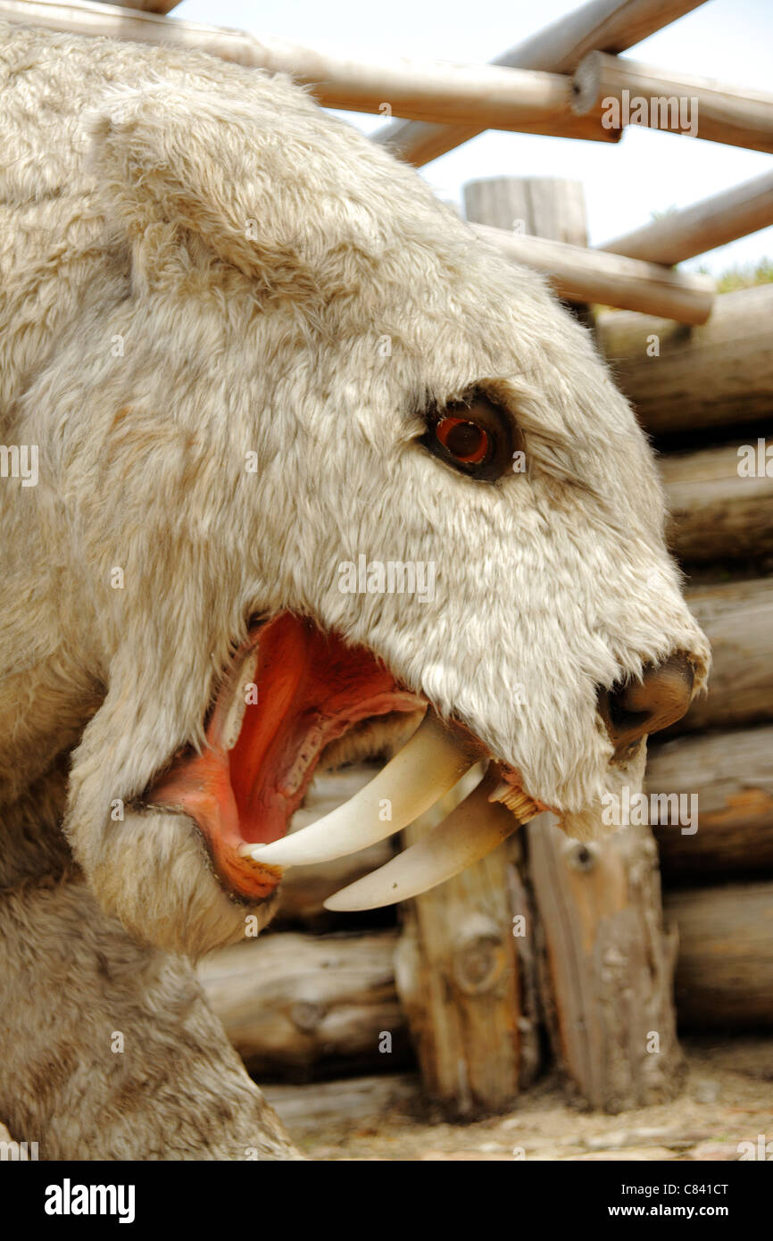 Smilodon hi-res stock photography and images - Alamy