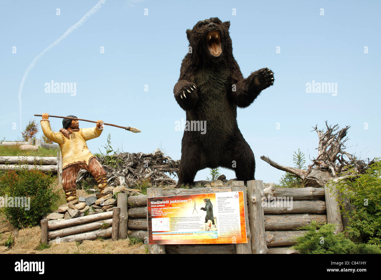Neanderthal man hunting for cave bear (Ursus spelaeus) in Leba Park ...