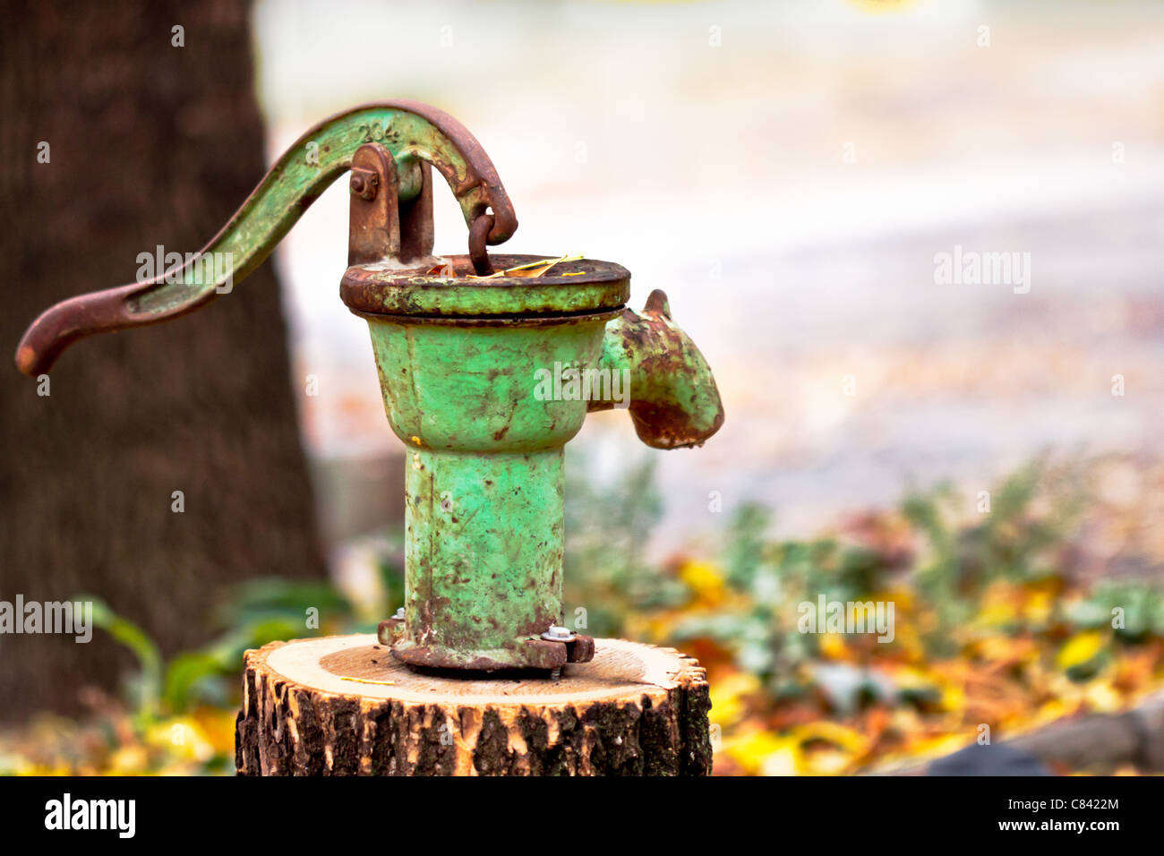 A rusty and old water pump mounted on a wood log on a damp fall day ...
