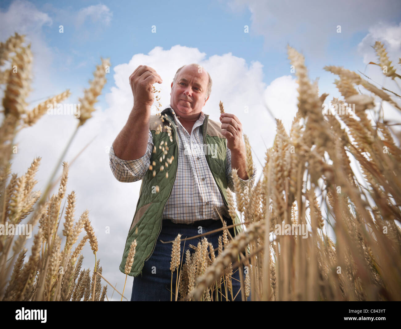 Farmer grain hi-res stock photography and images - Alamy