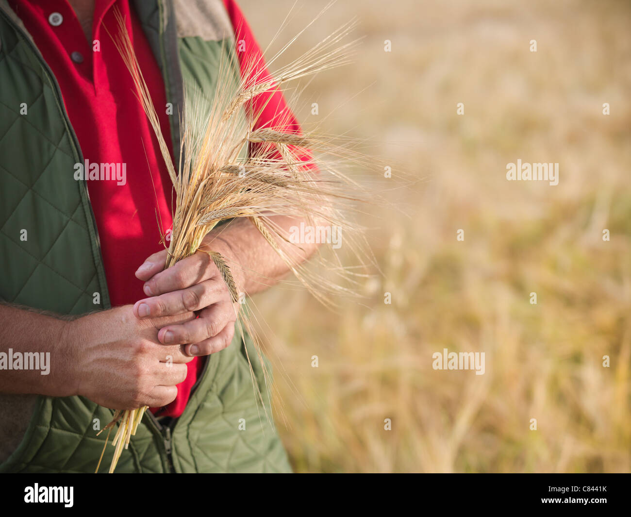 Barley farming europe hi-res stock photography and images - Alamy