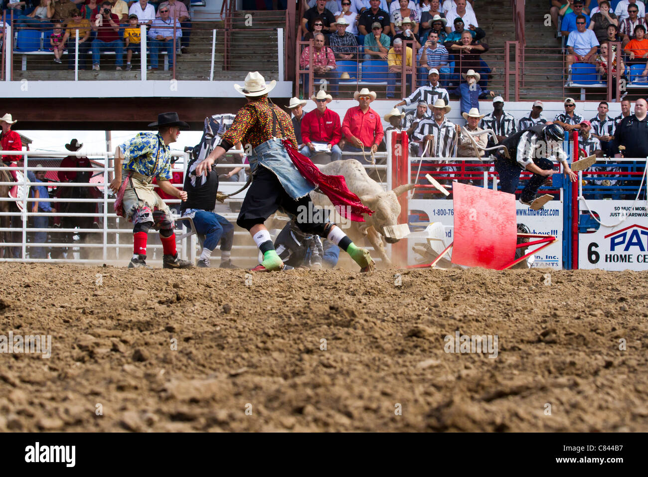 Prison rodeo angola hi-res stock photography and images - Alamy