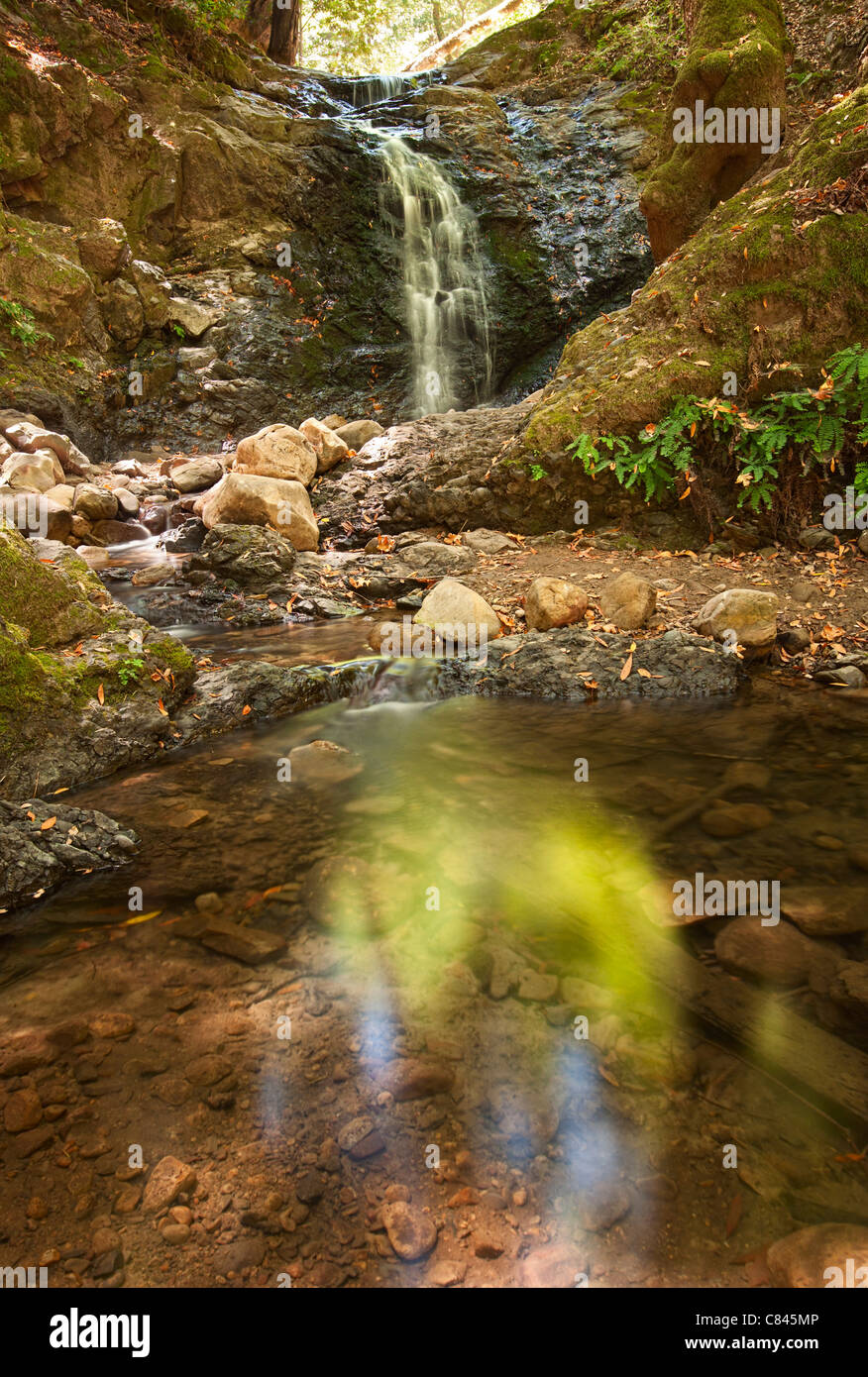 Beautiful view of Upper falls located in Uvas Canyon County Park Stock ...