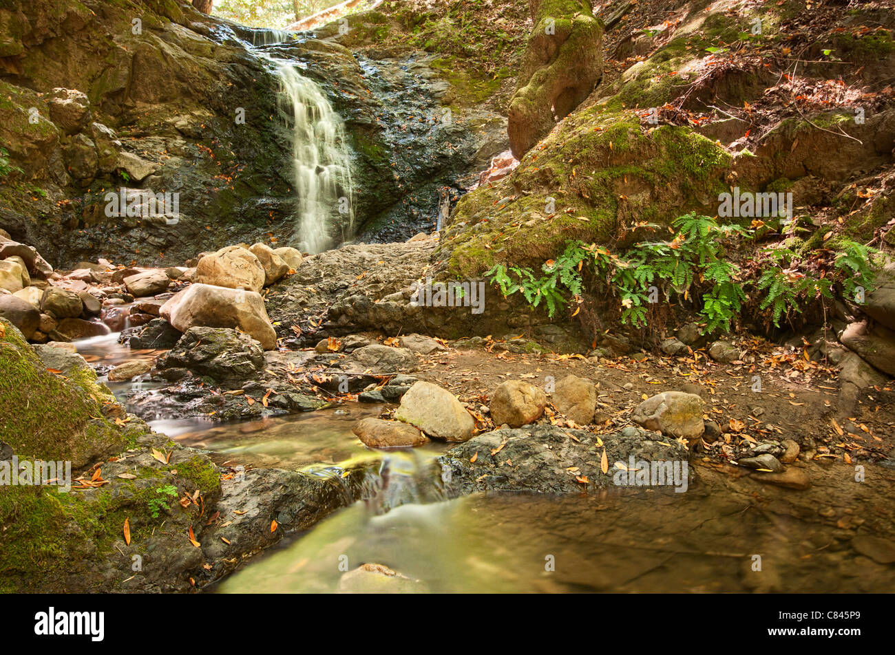 Beautiful view of Upper falls located in Uvas Canyon County Park Stock ...
