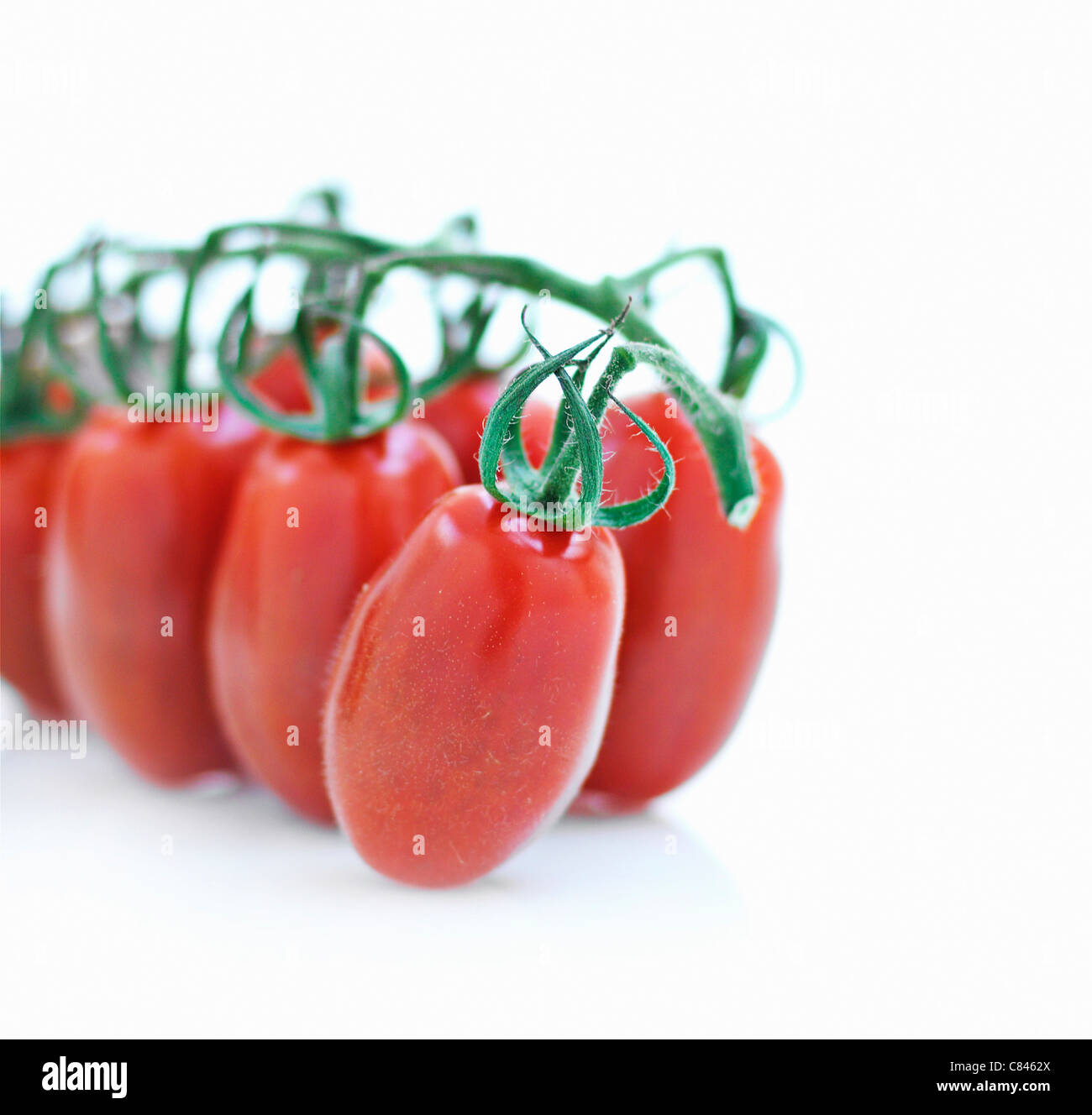Vine tomato studio hi-res stock photography and images - Alamy