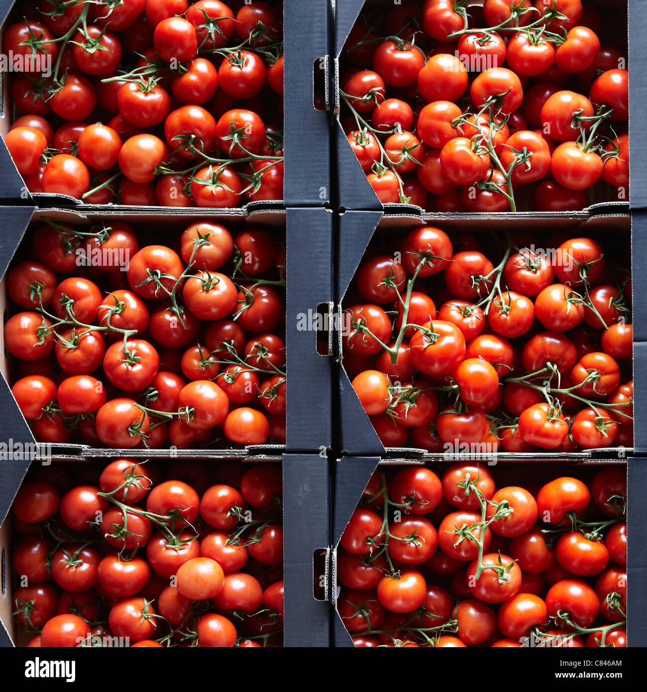 Vegetable packaging hi-res stock photography and images - Alamy