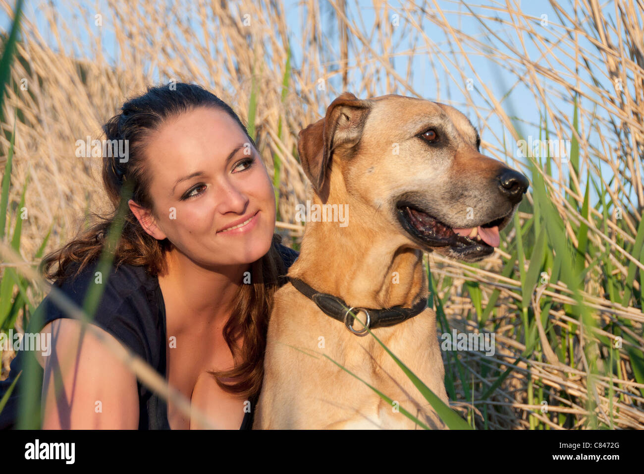 young woman and half breed dog Stock Photo - Alamy