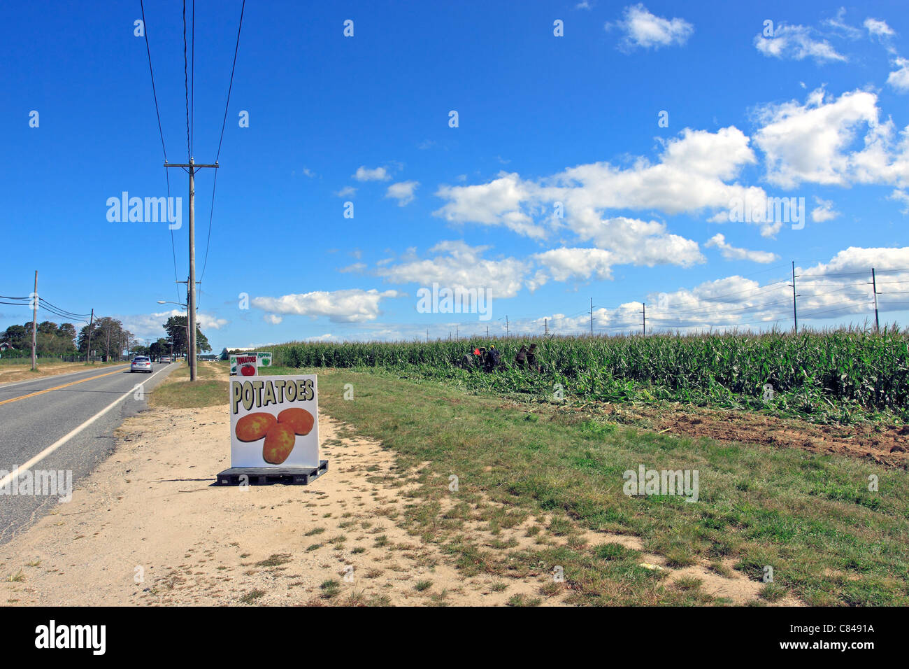 Farm on the north shore of eastern Long Island NY Stock Photo - Alamy