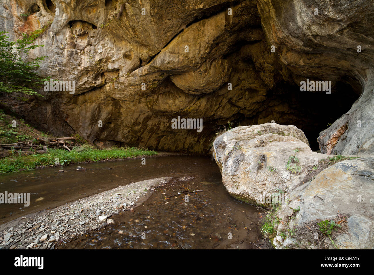 Entrance to the Bolii Cave in Romania, Parang mountain Stock Photo - Alamy