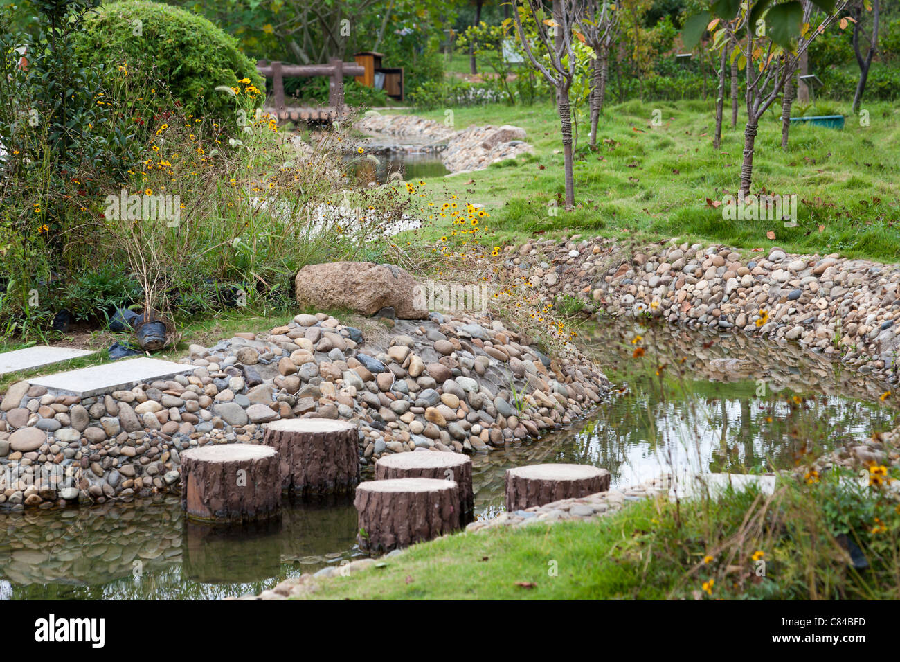 Flower chrysanthemum pond hi-res stock photography and images - Alamy