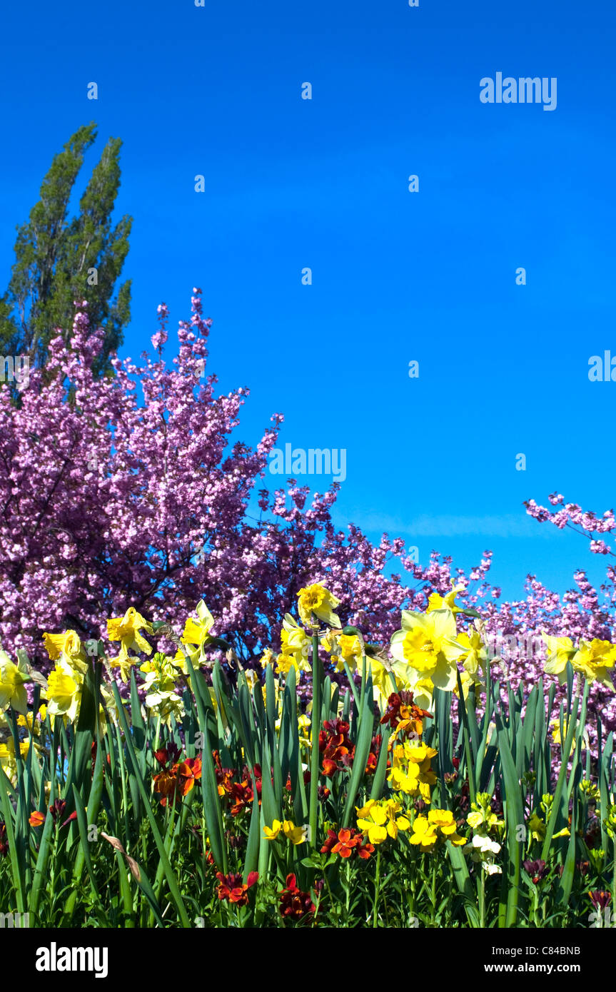 color of spring Stock Photo - Alamy