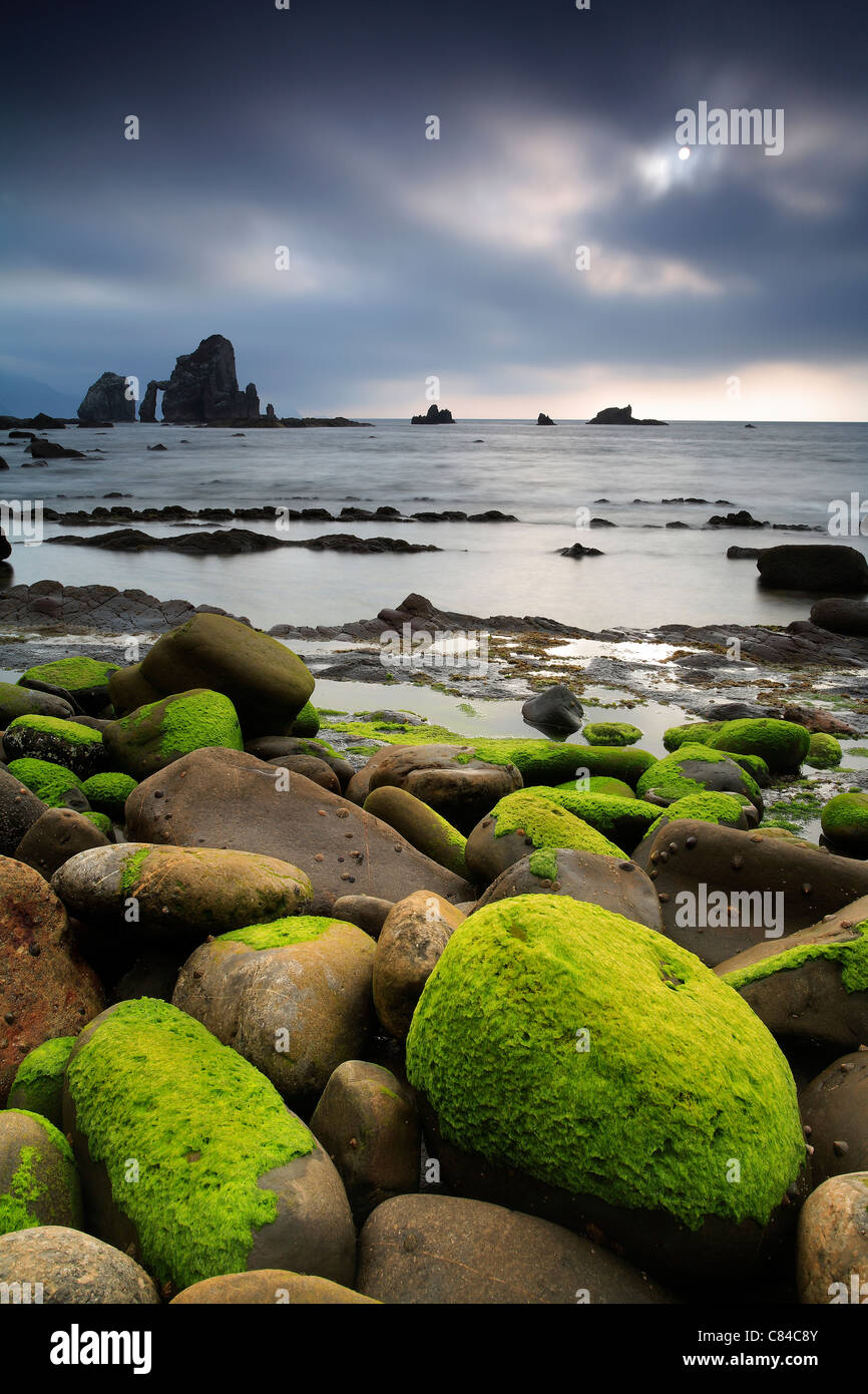 Mossy rocks on beach Stock Photo - Alamy