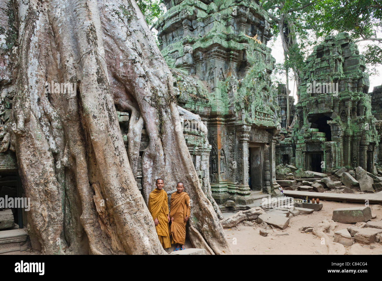 Cambodia, Siem Reap, Angkor, Ta Prohm Temple Stock Photo - Alamy